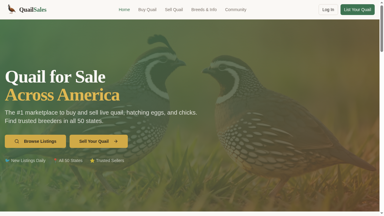 Quail for Sale — Buy & Sell Live Quail Online | QuailSales